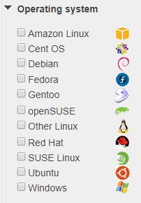 AMI Types (EBS vs Instance Store)